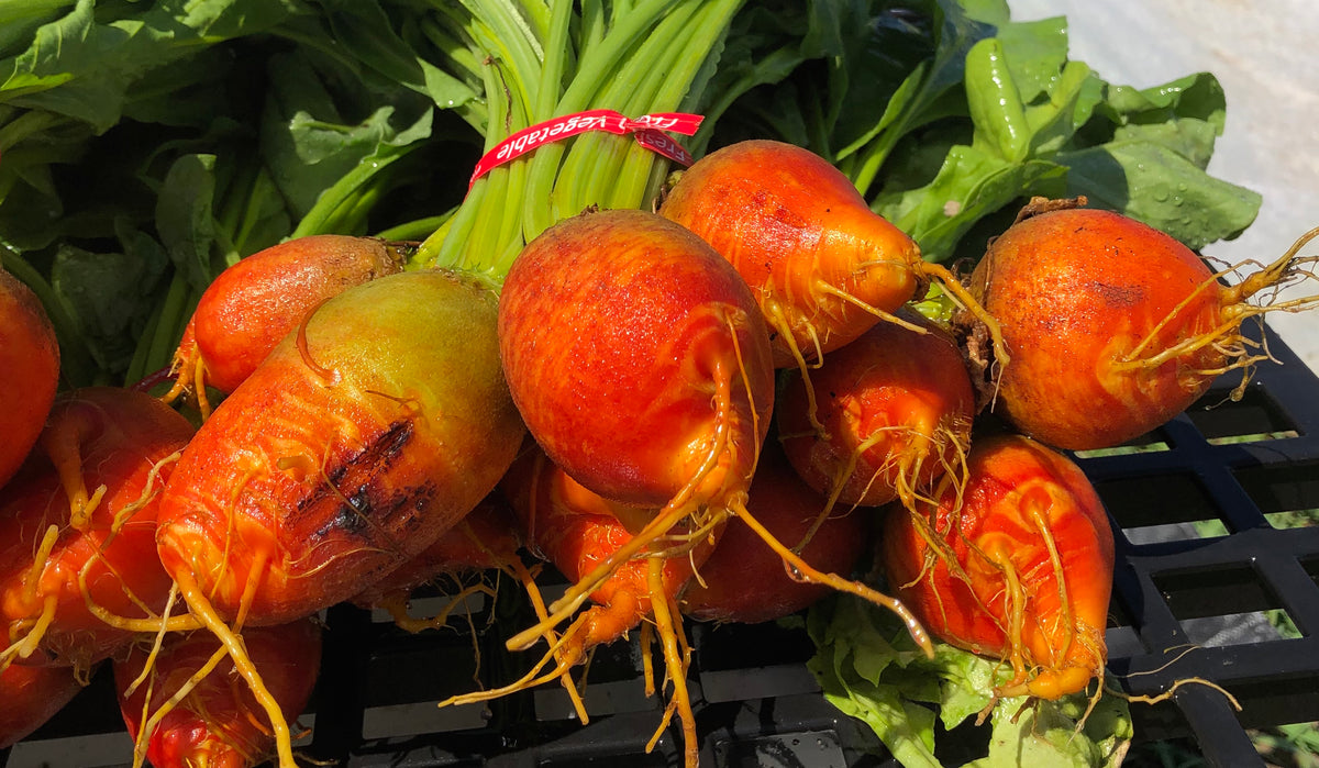 Featured Vegetable: Beets – Bee Grateful Farm