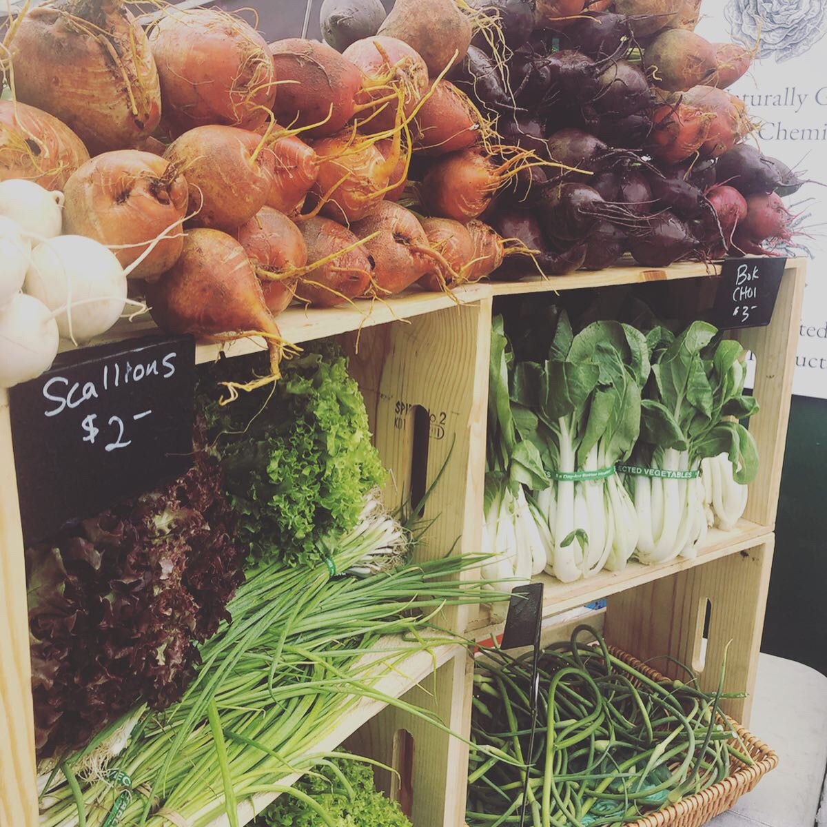 2026 CSA Memberships – Bee Grateful Farm